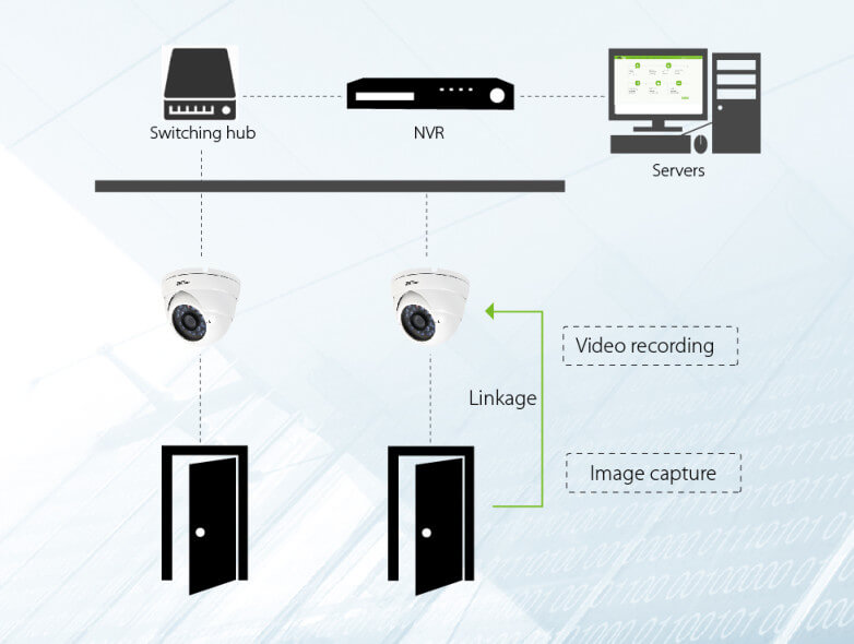 All-In-One Security Solution for Mansion